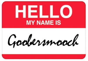 Curiously Fun Barn Names – Our First Horse