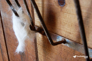 Shedding Season Begins – Our First Horse