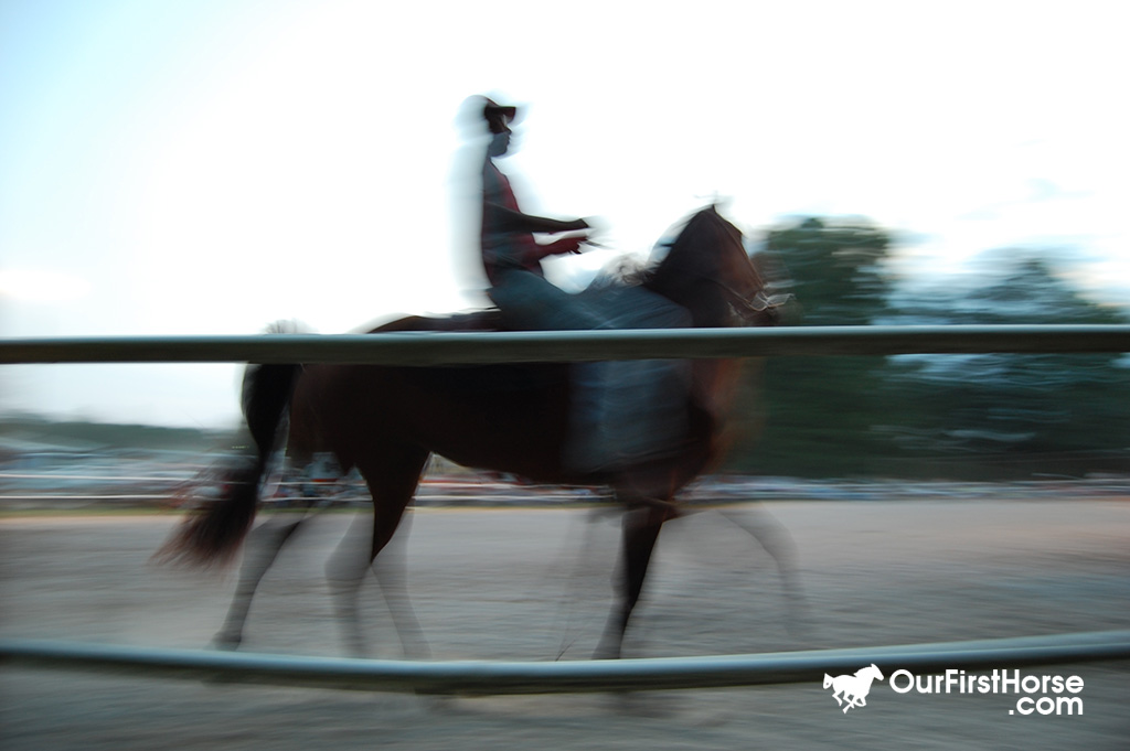 Gaited Event Training – Hello Spring – Our First Horse