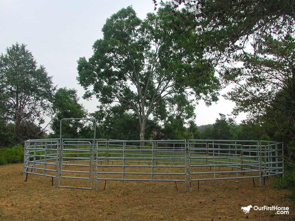 We Have a Round Pen! – Our First Horse