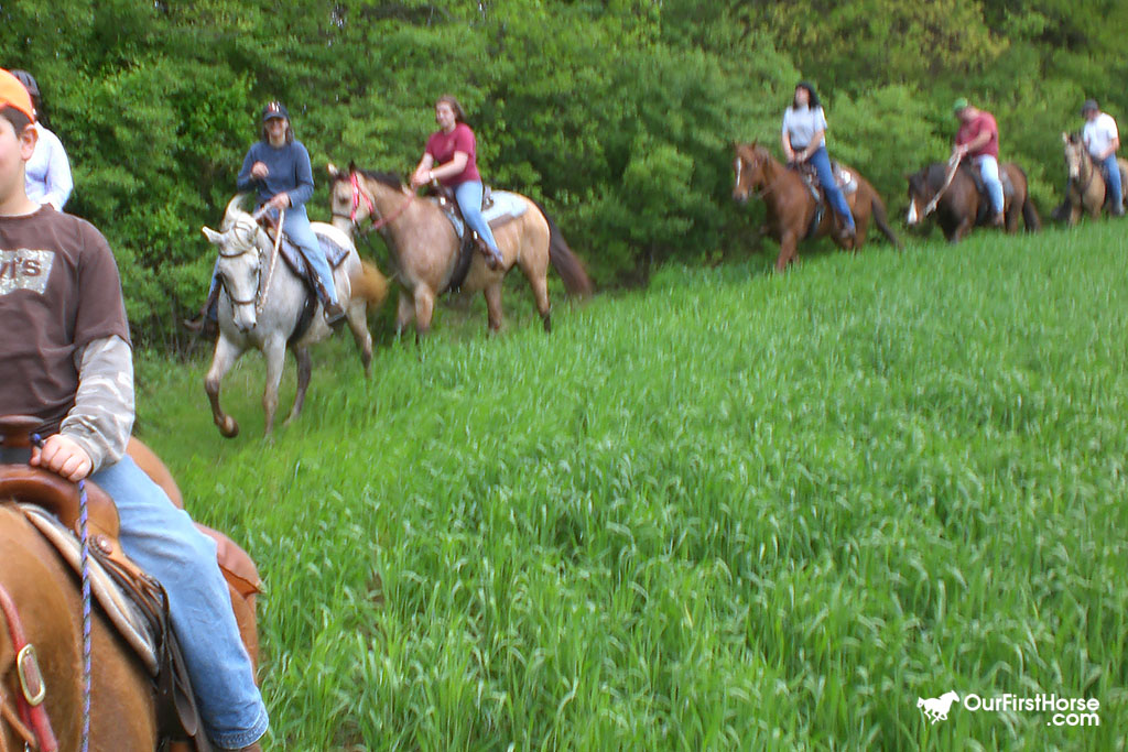 My five hour trail ride mistake – Our First Horse